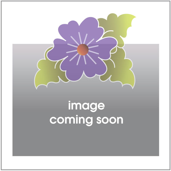 Flowers - Stencils - Borders / Overalls by Theme - Stencils - Borders ...