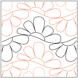 Sunrise Daisy - Pantograph