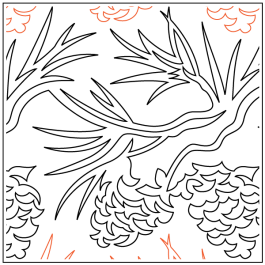 Thomas' Pinecone - Pantograph